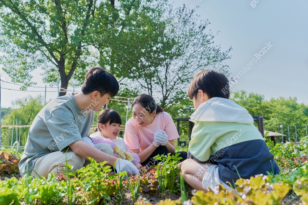 주말농장 오도이촌 채소밭 공동체텃밭 어린이 나이 소년 남성 아들 아빠 가족 자식두명과가족 자식 대화