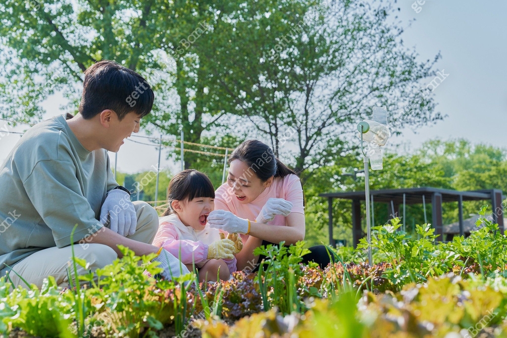 주말농장 오도이촌 채소밭 공동체텃밭 어린이 나이 아빠 가족 대화 이미지 Jv13513197 게티이미지뱅크